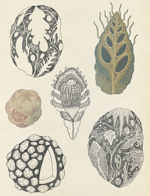 Katie Scott's Instagram, Twitter & Facebook on IDCrawl