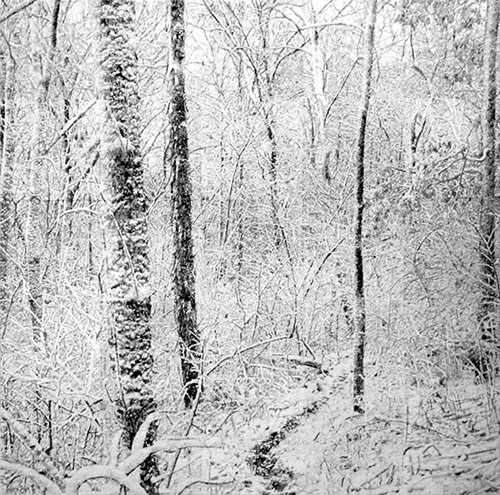 James Chronister – BOOOOOOOM! – CREATE * INSPIRE * COMMUNITY * ART ...