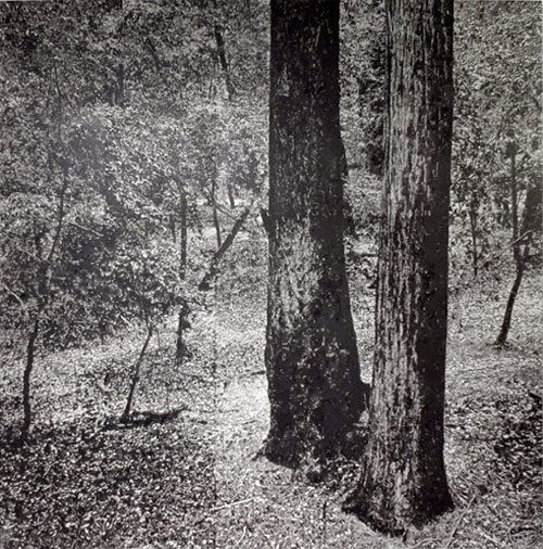 James Chronister – BOOOOOOOM! – CREATE * INSPIRE * COMMUNITY * ART ...