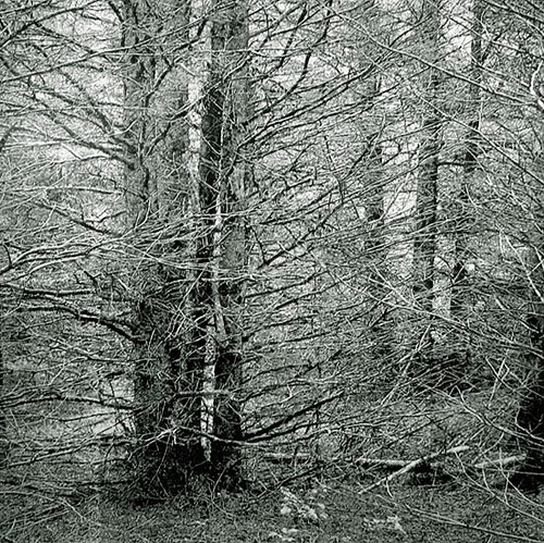 James Chronister – BOOOOOOOM! – CREATE * INSPIRE * COMMUNITY * ART ...