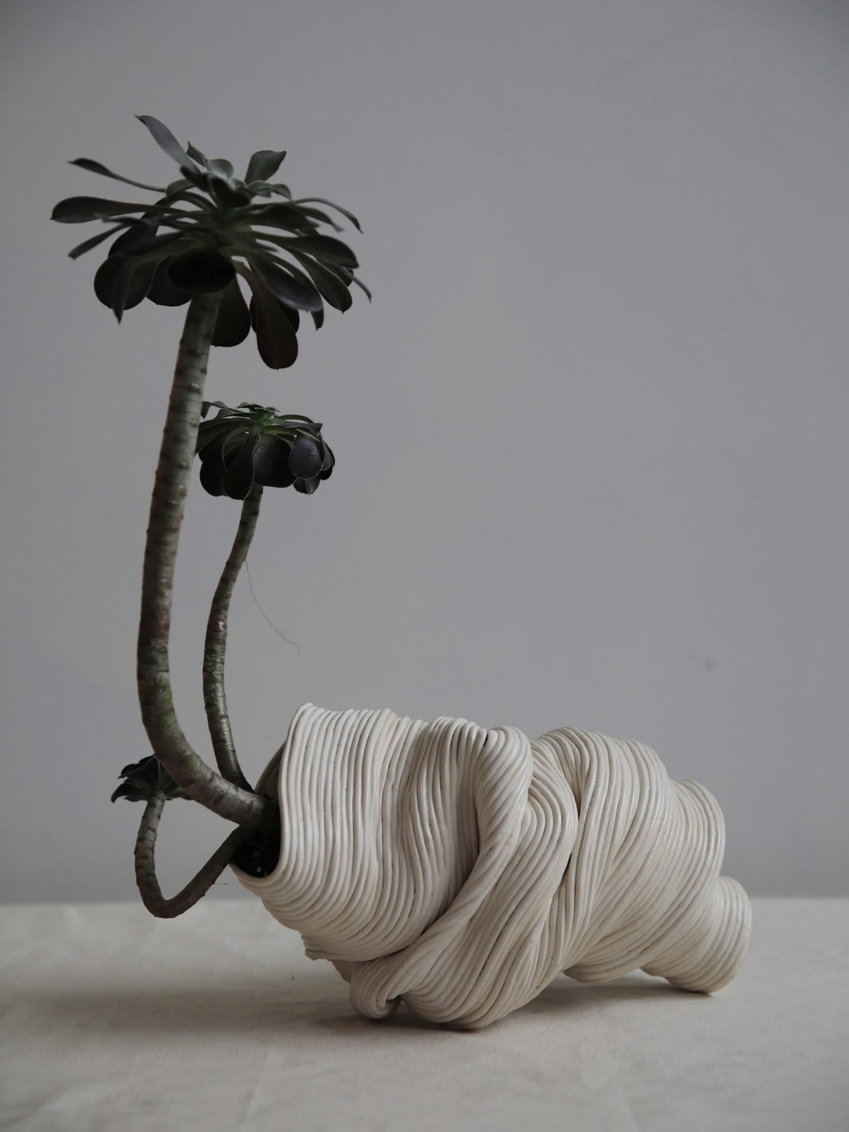 "Plantsukuroi" by Artist Zhu Ohmu