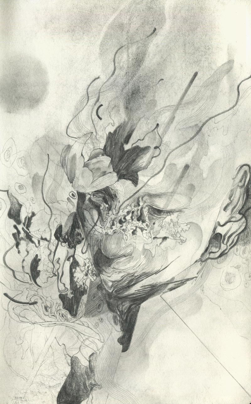 Artist Spotlight James Lee Chiahan Booooooom Create Inspire