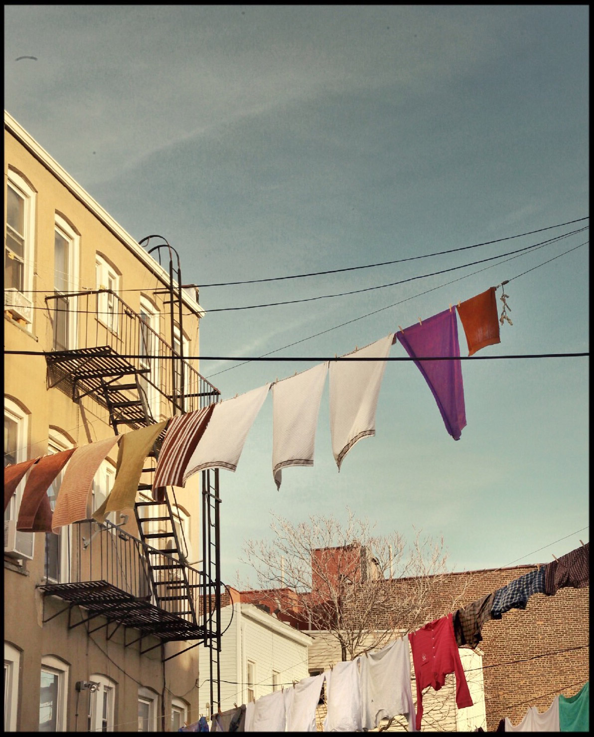 Photographer Spotlight: Harvey Hale | The Heart of Design and Art