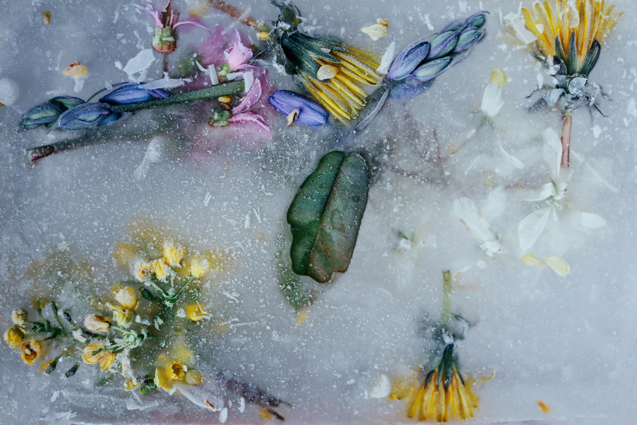 Photographer Spotlight: Joe Horner – BOOOOOOOM! – CREATE * INSPIRE ...