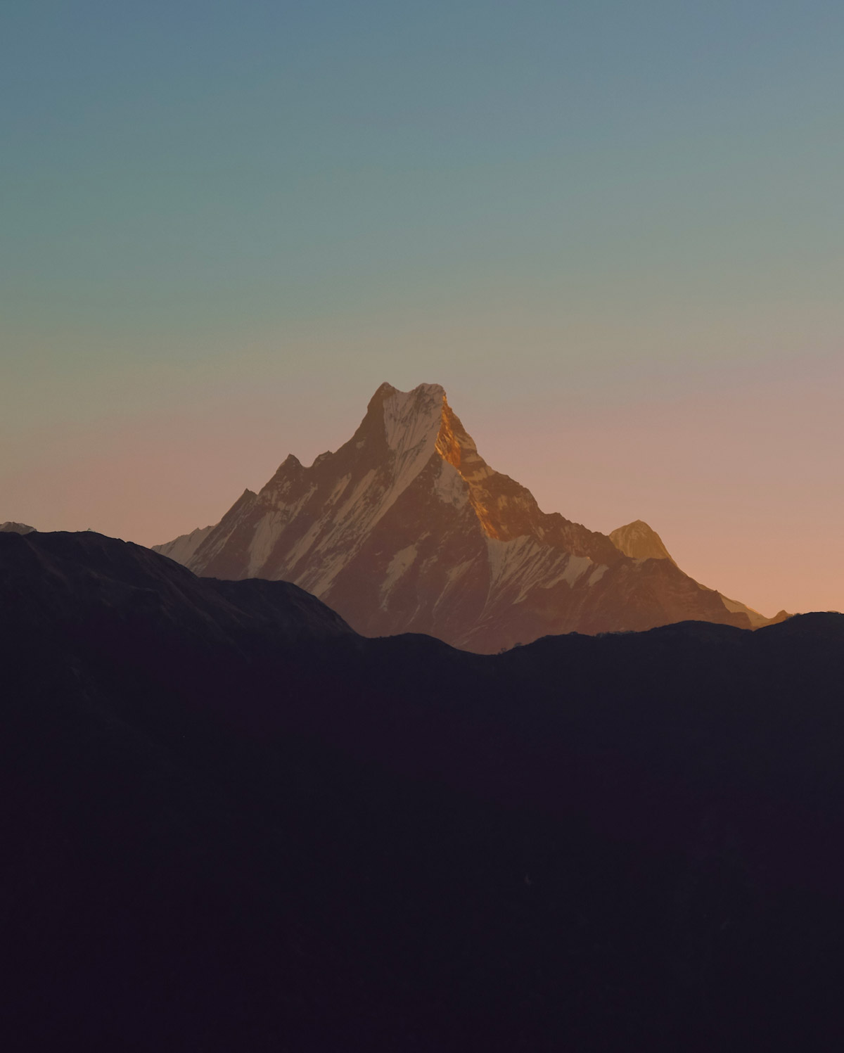 Photographer Spotlight: Mandy Sham | The Heart of Design and Art