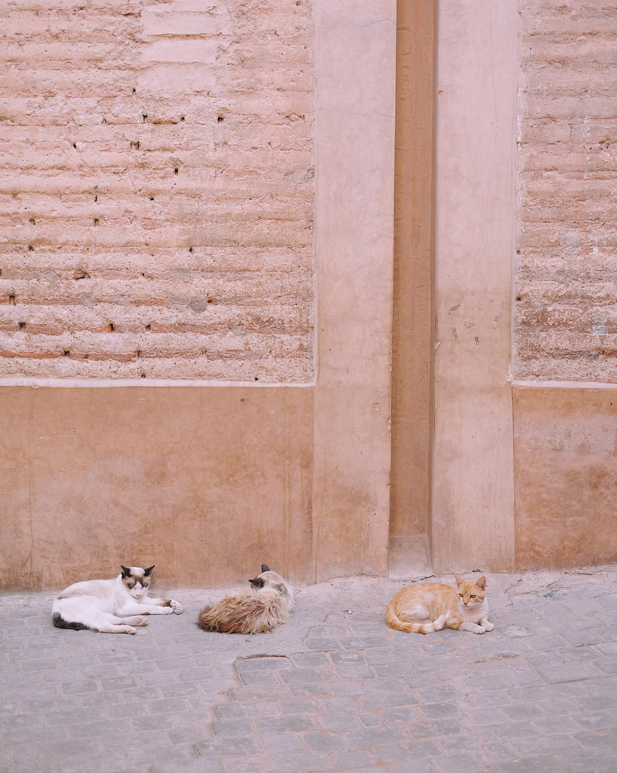 Photographer Spotlight: Mandy Sham | The Heart of Design and Art