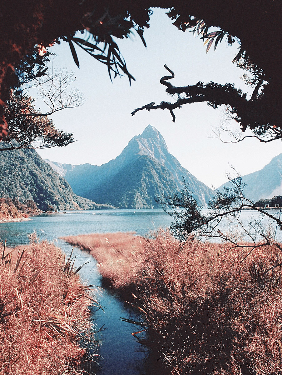 Photographer Spotlight: Chiara Zonca | The Heart of Design and Art