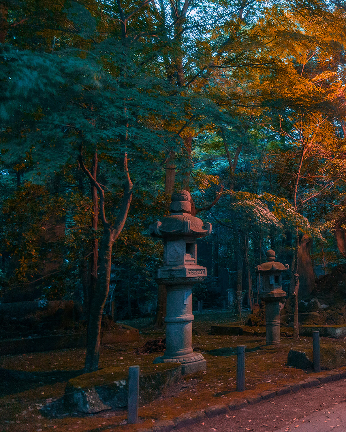 Photographer Spotlight: Mischelle Moy | The Heart of Design and Art