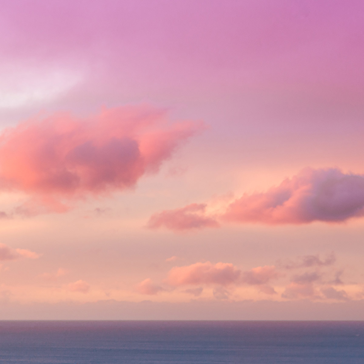 Photographer Spotlight: Mischelle Moy | The Heart of Design and Art