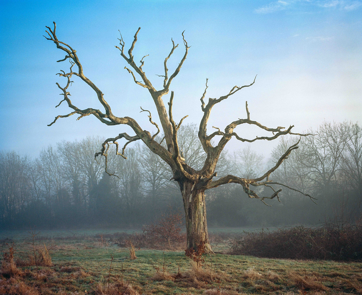 “Blighty” by Photographer Sam Gregg | The Heart of Design and Art