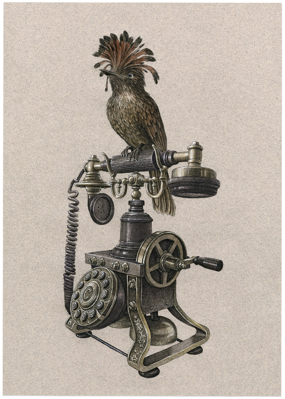 Artist Spotlight: Steeven Salvat | The Heart of Design and Art