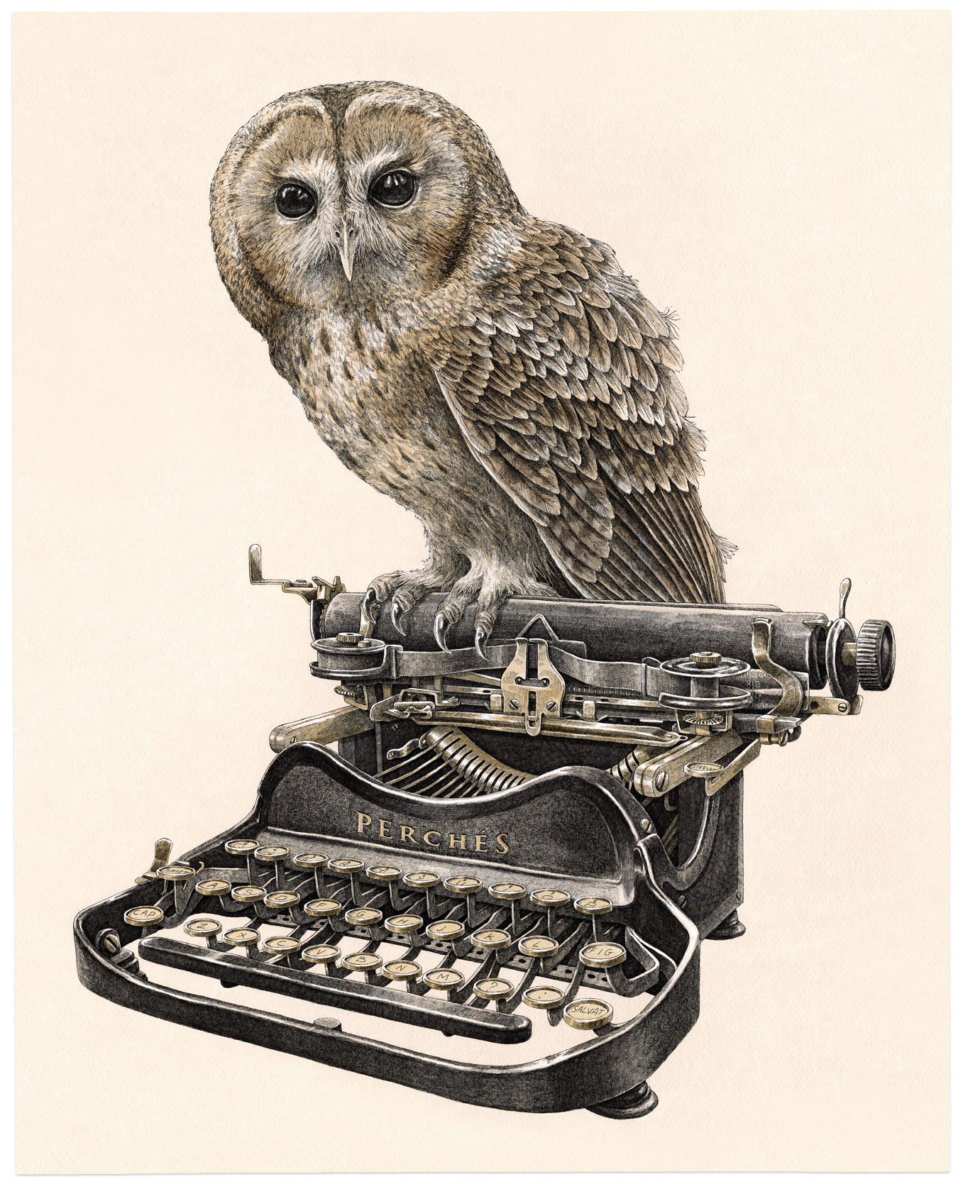 Artist Spotlight: Steeven Salvat | The Heart of Design and Art