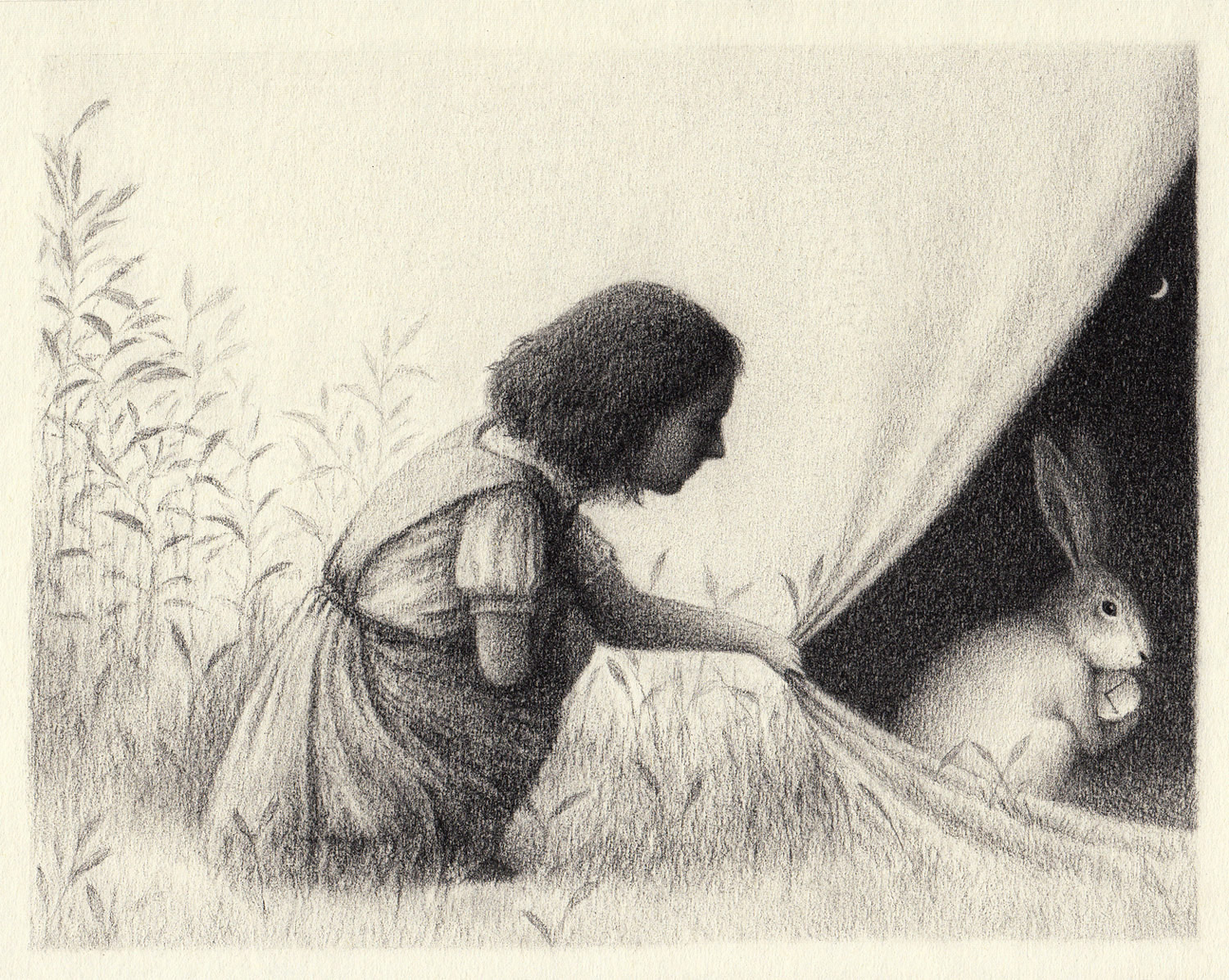 Illustrator Spotlight: David Álvarez | The Heart of Design and Art