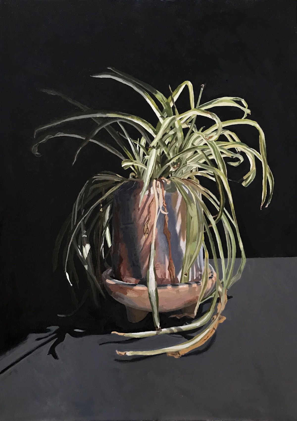 Artist Spotlight: Lucy Roleff | The Heart of Design and Art