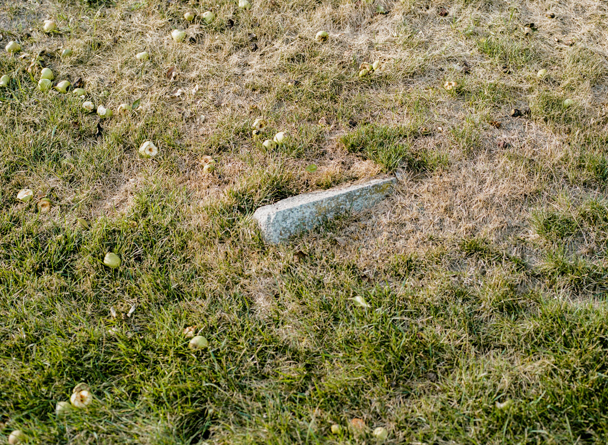 Photographer Spotlight: Jonathan Schechner | The Heart of Design and Art