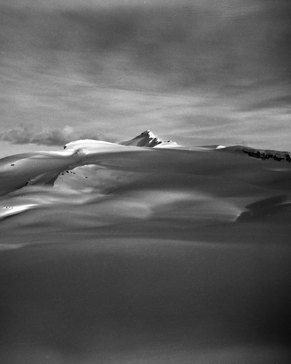 Photographer Spotlight: Tommy Nease | The Heart of Design and Art