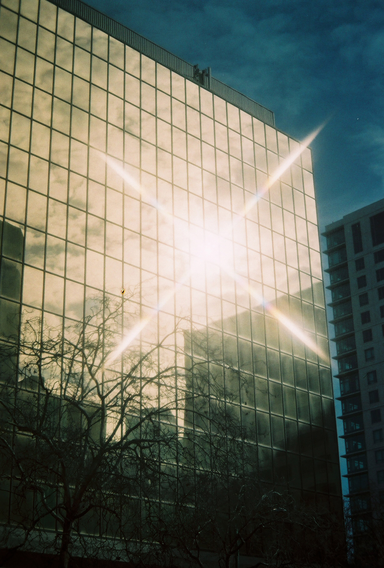 Photographer Spotlight: Danielle Hirokane | The Heart of Design and Art