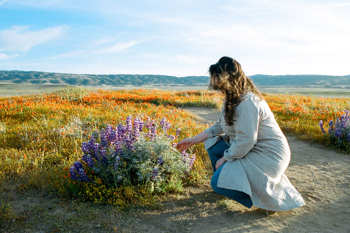 Photographer Spotlight: Chris Merchant | The Heart of Design and Art