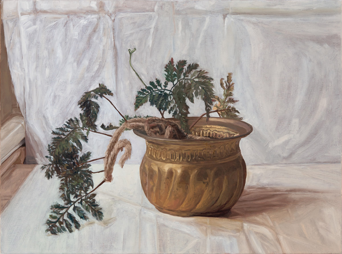 Artist Spotlight: Lucy Roleff | The Heart of Design and Art